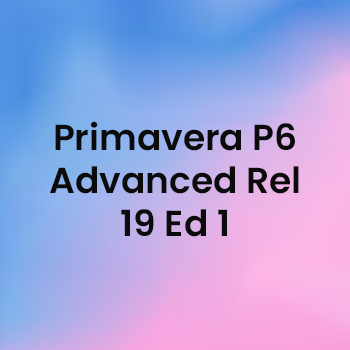 Primavera P6 Advanced Rel 19 Ed 1 - ERT