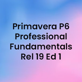 Primavera P6 Professional Fundamentals Rel 19 Ed 1 - ERT
