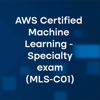 AWS Certified Machine Learning - Specialty - ERT